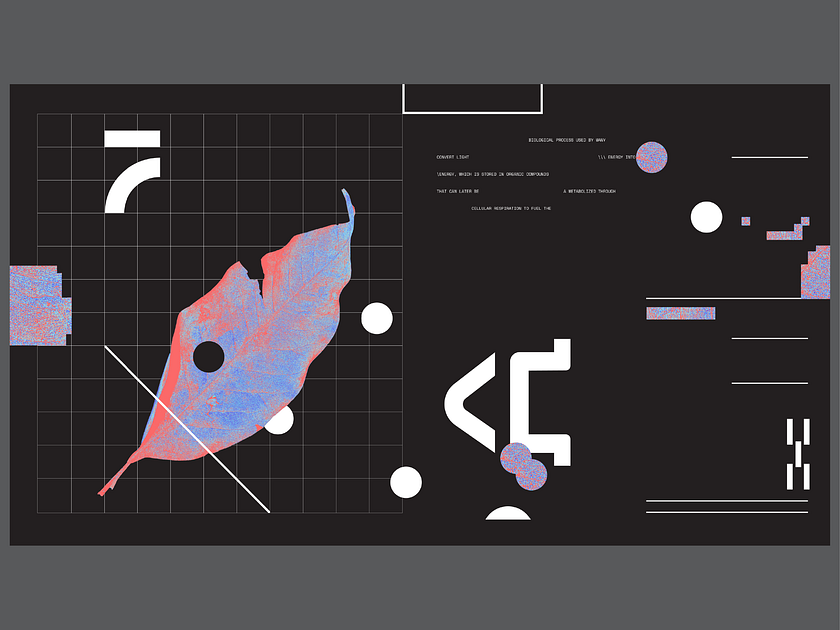 Browse thousands of Collage images for design inspiration | Dribbble