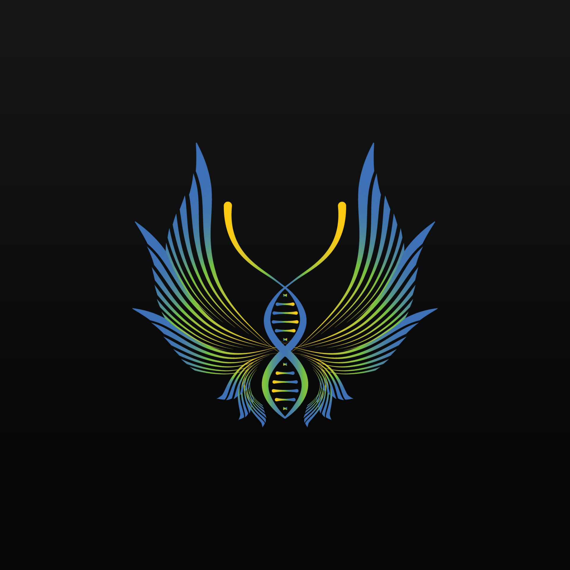 Metamorphosis by Jaymin on Dribbble