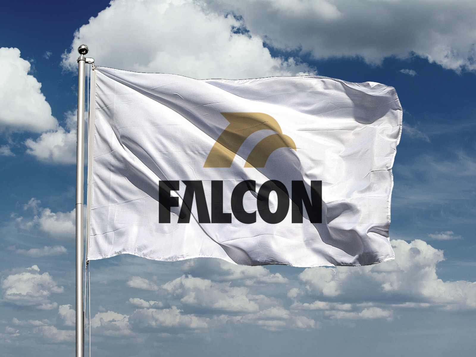 Falcon Logo (Sold to Falcon.bot) by Mihai Dolganiuc on Dribbble