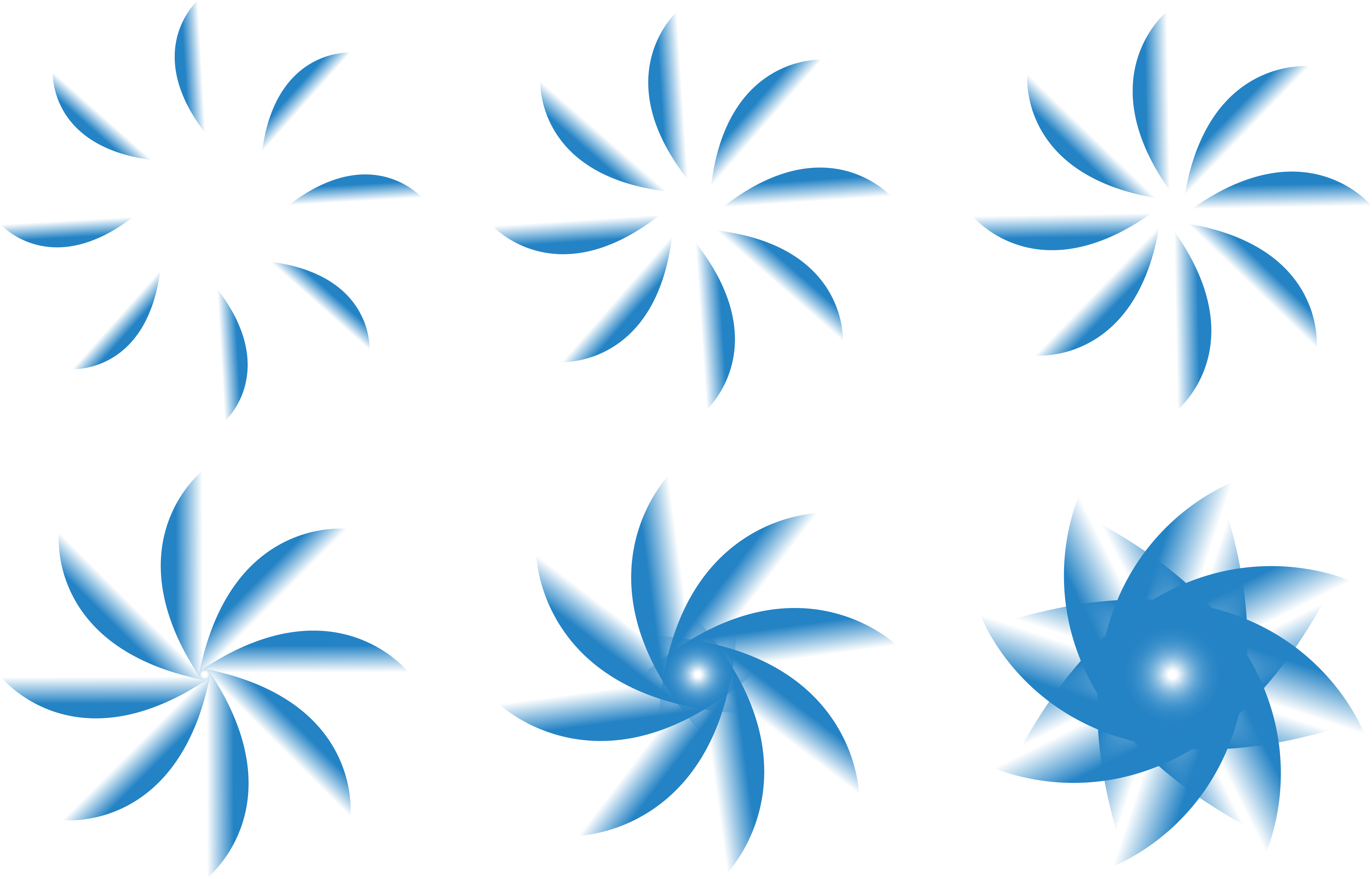 flower vector by Farzana Mouly on Dribbble
