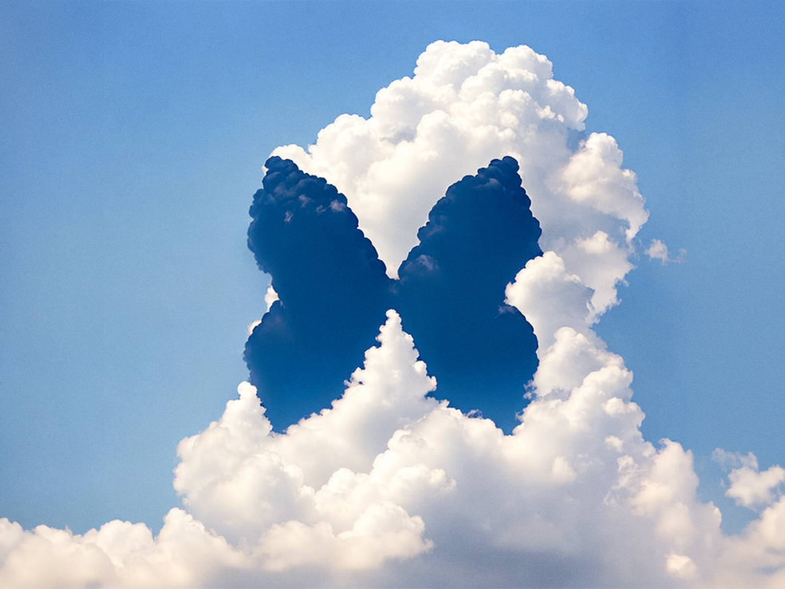 X - Butterfly Logo concept by Jubayer Mahabub on Dribbble