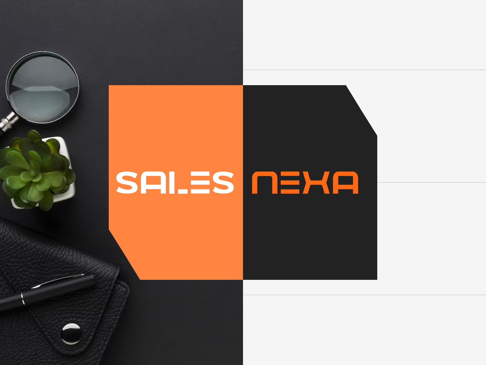 Salesnexa - eCommerce Brand Logo by Bhautik Domadiya on Dribbble