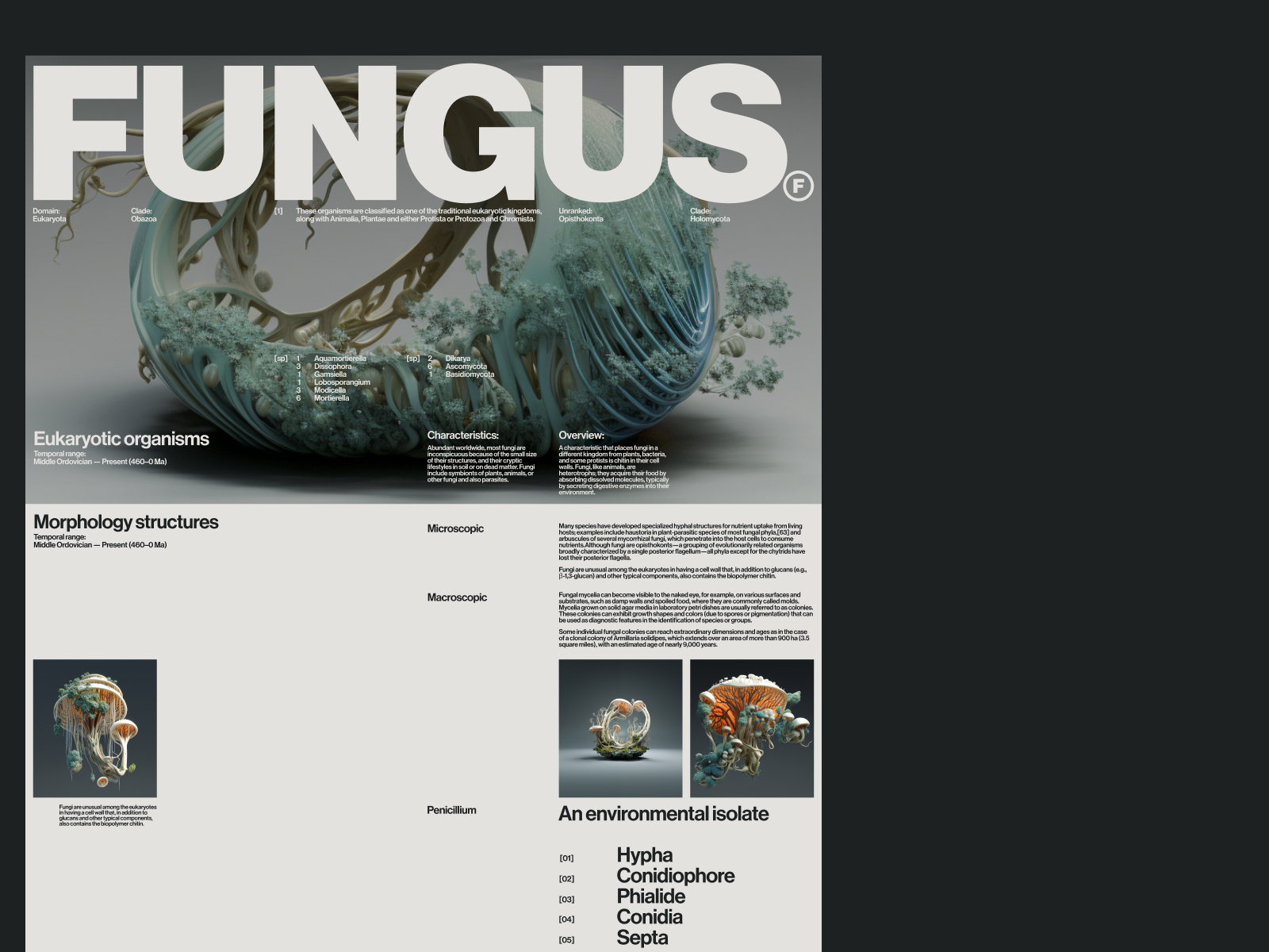FUNGUS — 3 by Hrvoje Kraljevic for Studio Size on Dribbble