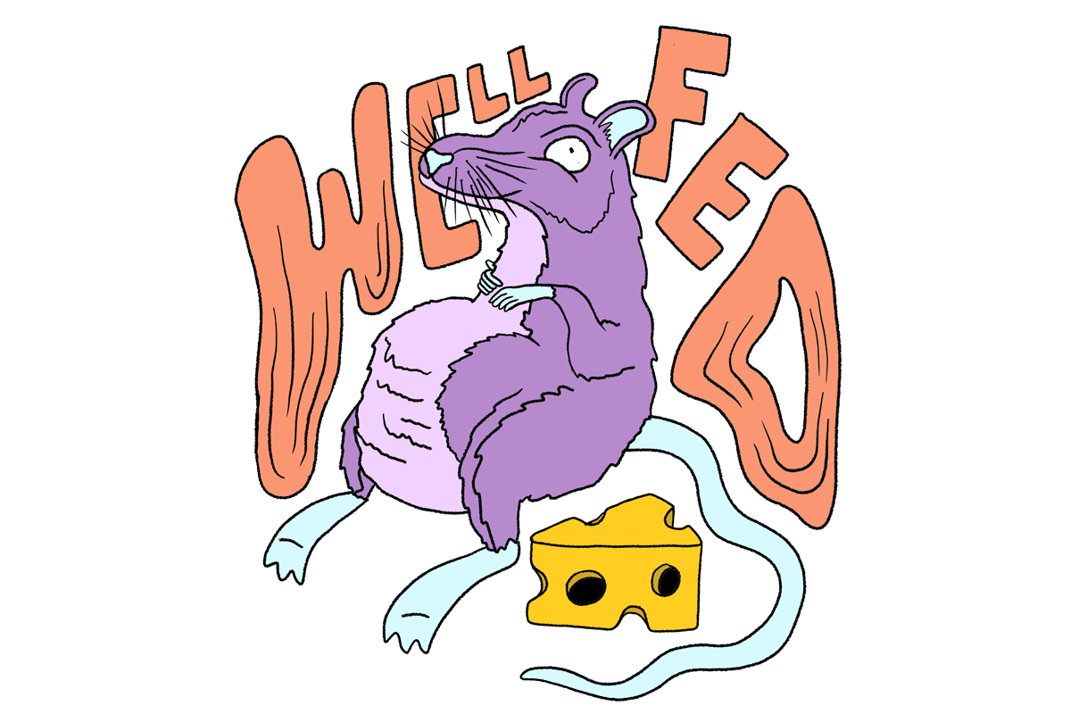 Fat Rat designs, themes, templates and downloadable graphic elements on ...