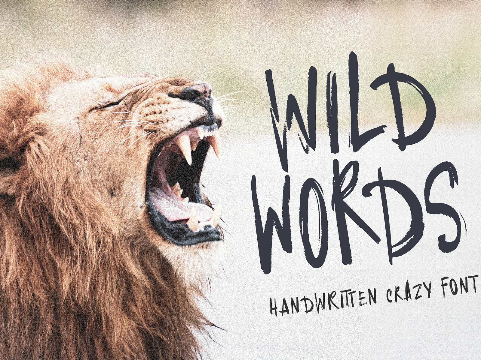 Wild Words handwritten textured font typeface by Timur on Dribbble