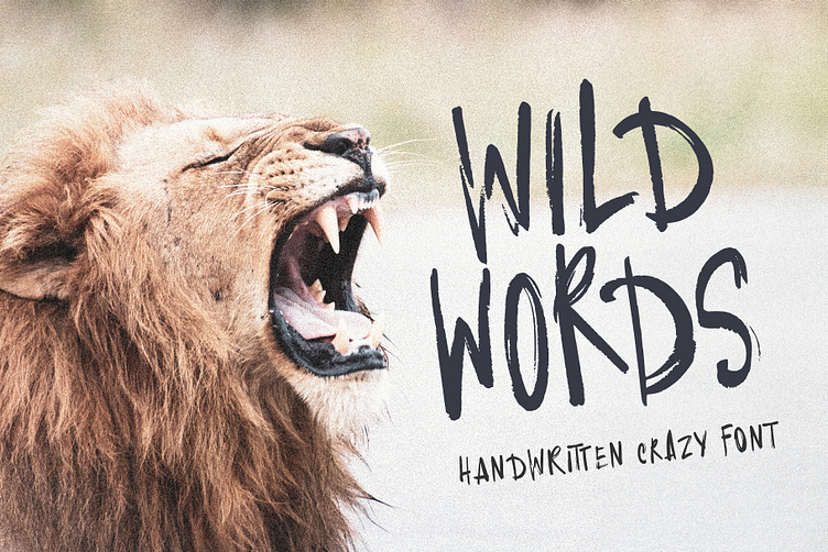 Wild Words handwritten textured font typeface by Timur on Dribbble