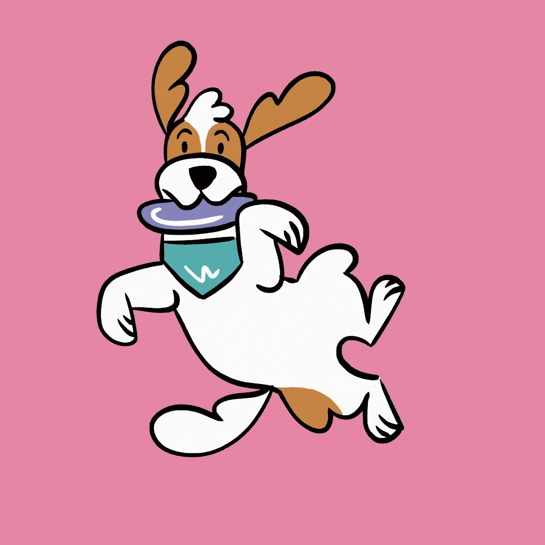 Browse thousands of Cat Animation images for design inspiration | Dribbble