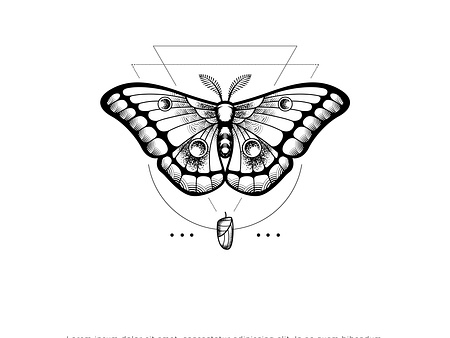 Moth designs, themes, templates and downloadable graphic elements on ...