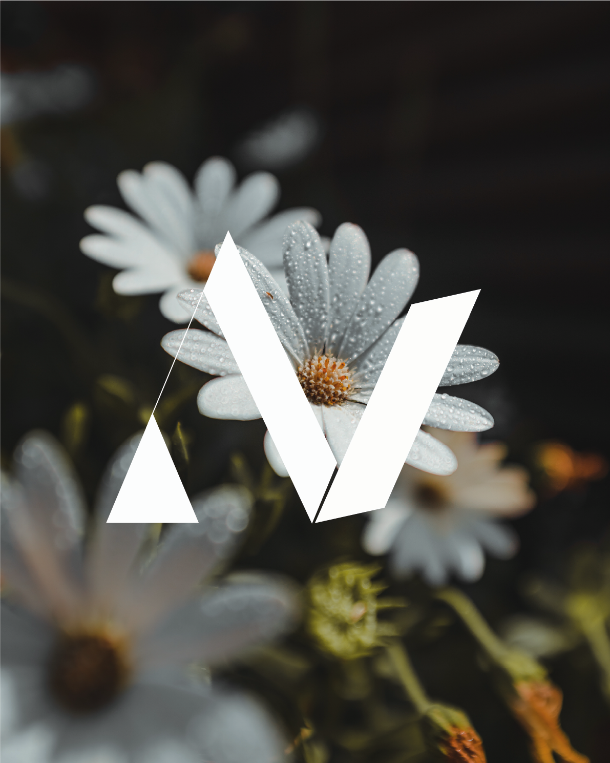 AVANTIKA LOGO by Diksha Thakur on Dribbble