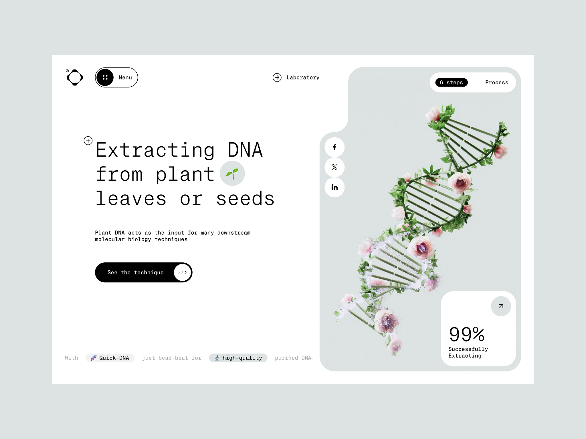 Extracting DNA from plant leaves or seeds - Design Concept by Denys ...