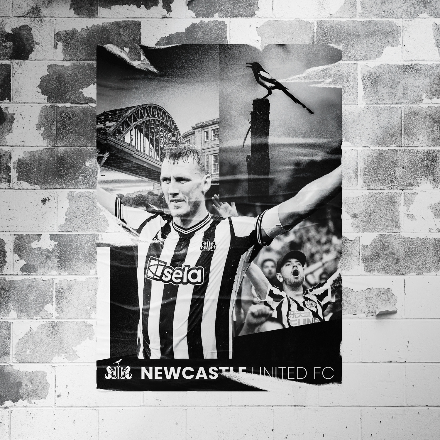 NEWCASTLE UNITED LOGO REDESIGN by Simon Prévost on Dribbble
