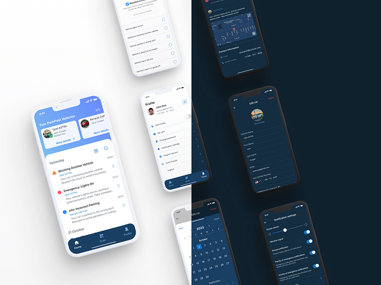 DriveGuard | Mobile application by Tetyana Shmatko on Dribbble