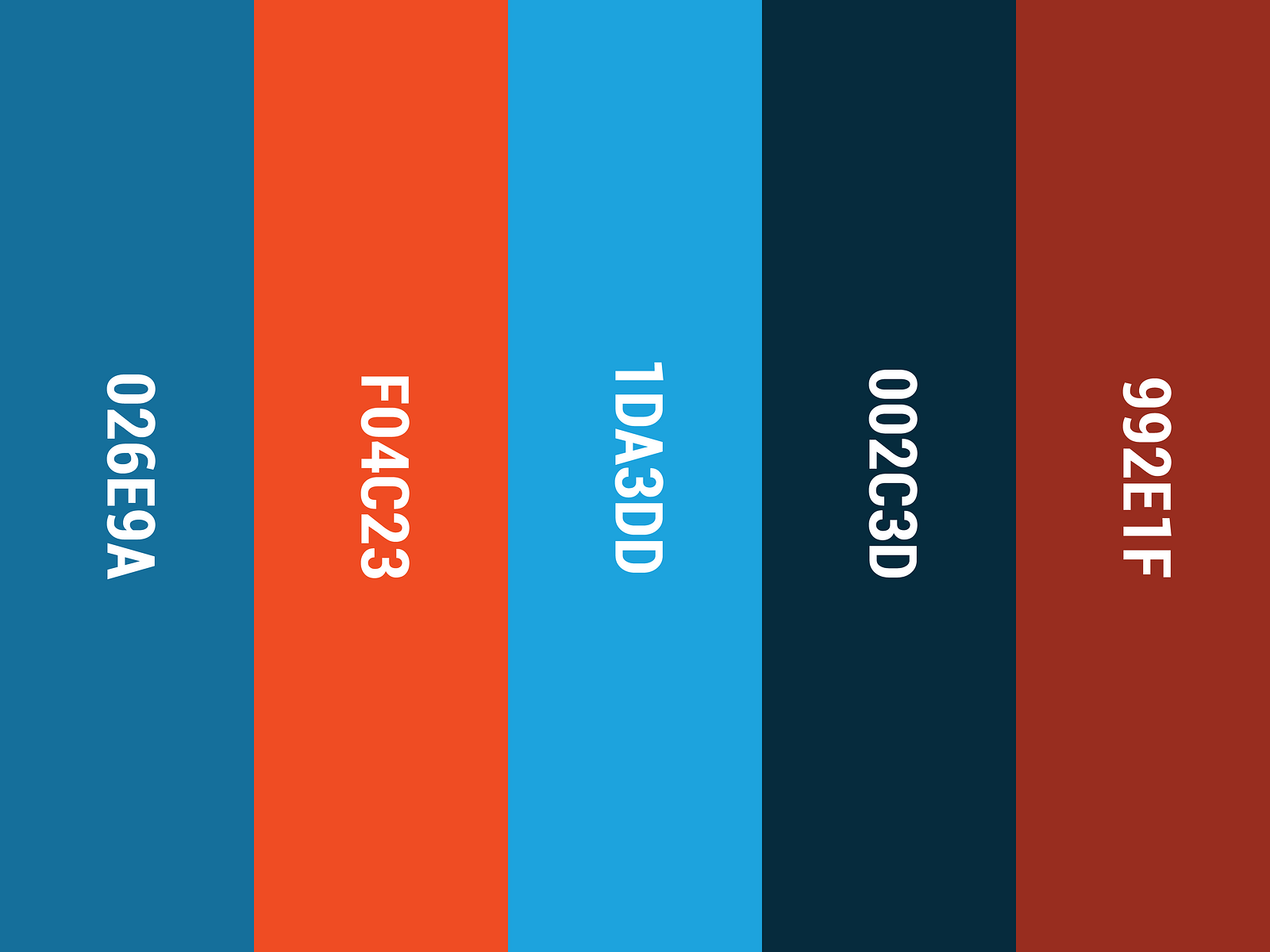 Corporate Identity 5 Color Palette by Md Hridoy on Dribbble