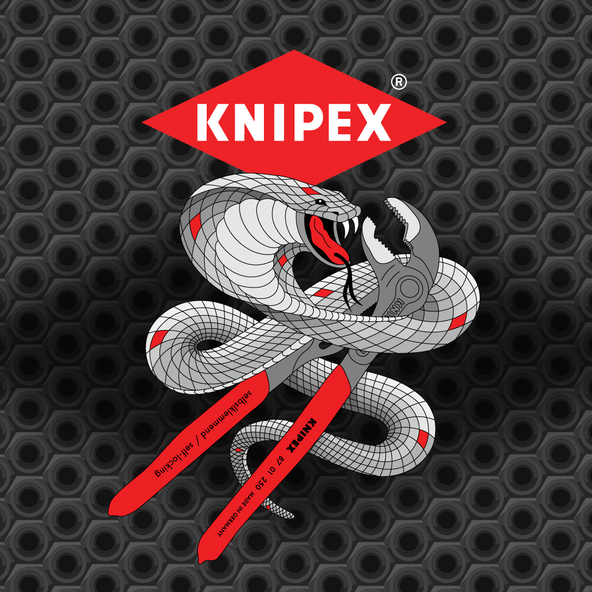 KNIPEX tool brand: Cobra with a Bite! by Tiny Beast Studio on Dribbble