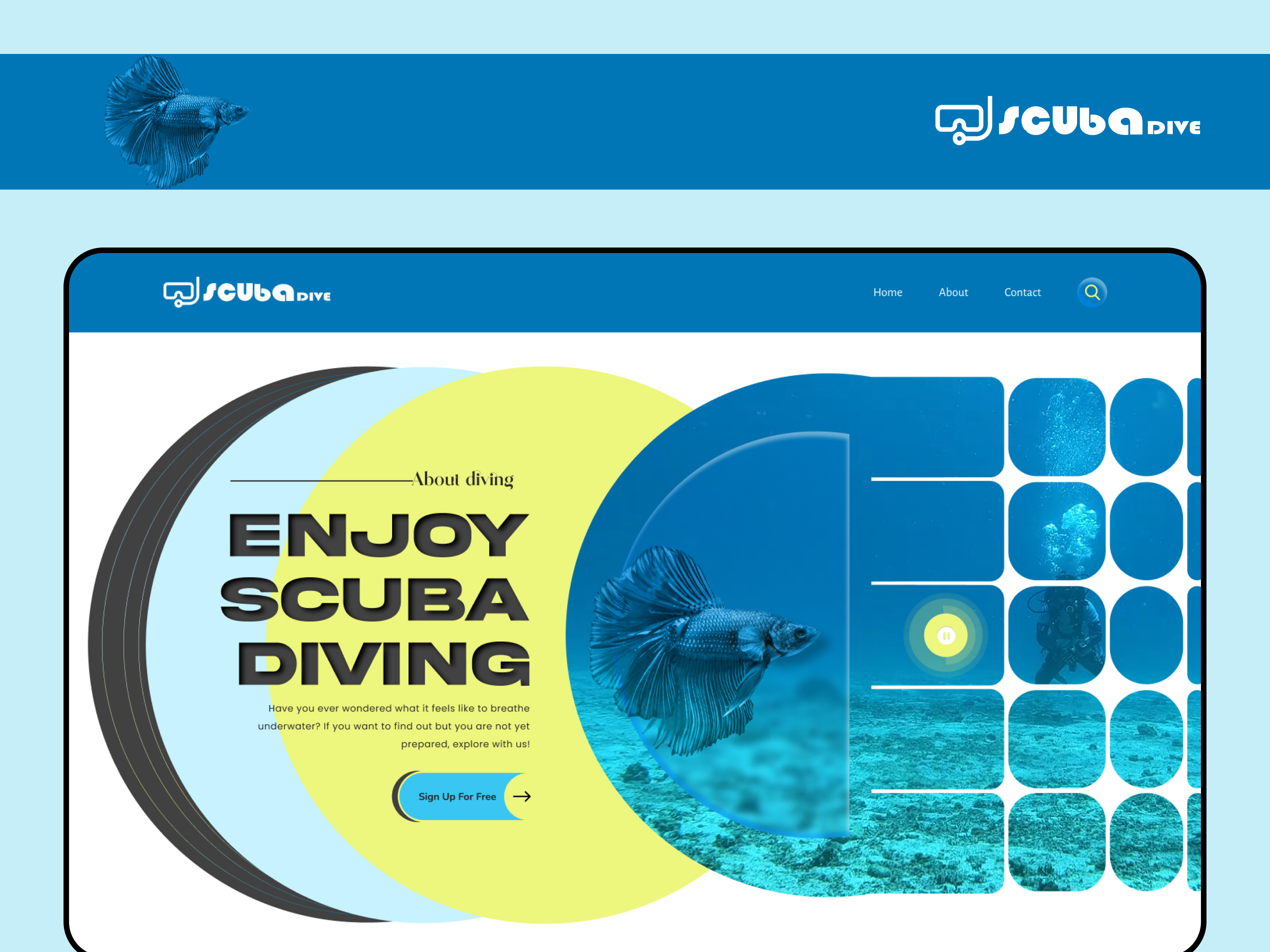 Scuba Diving Website Design by MC-Product for Master Creationz -Global ...