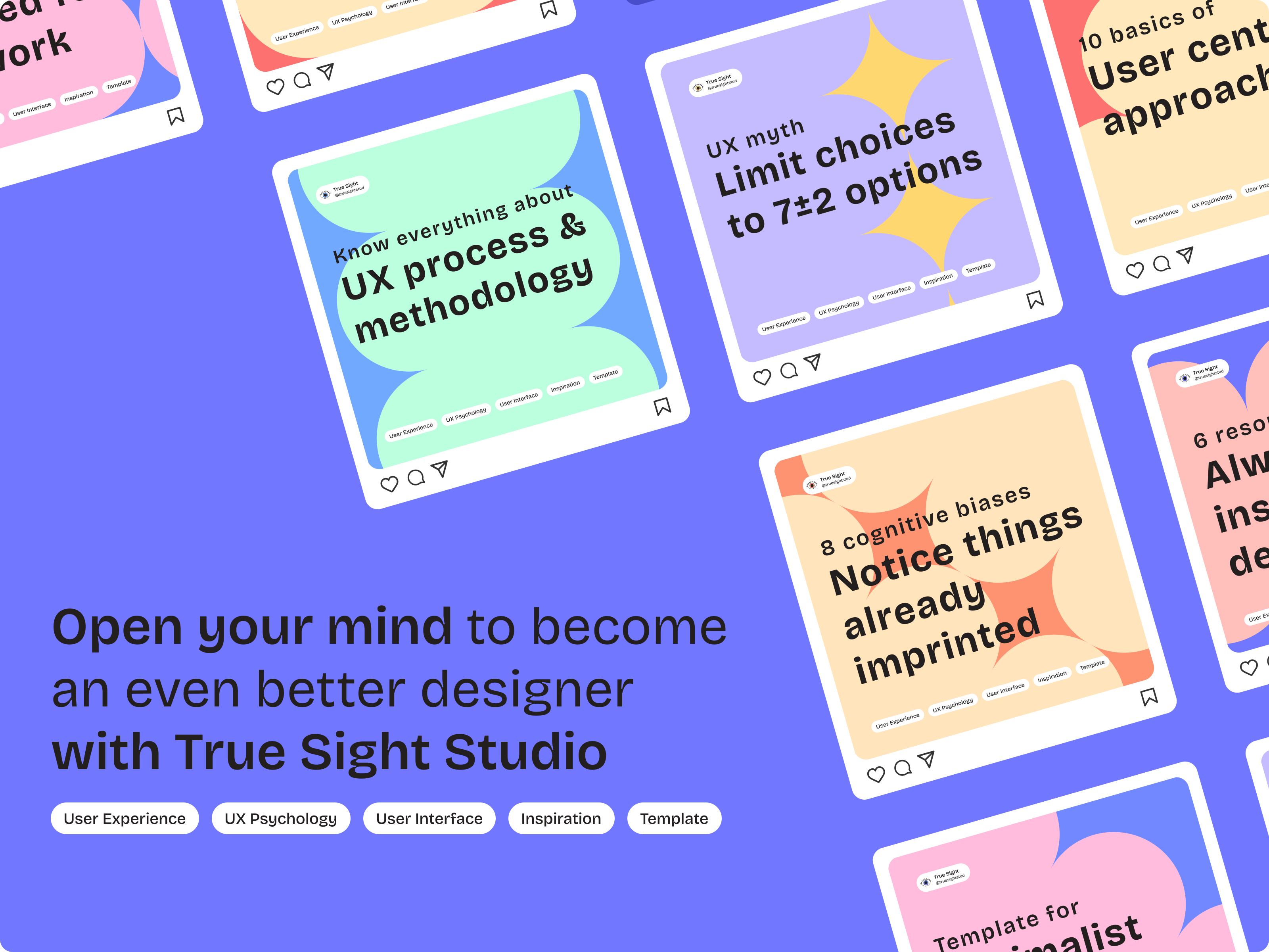 True Sight Studio | Dribbble