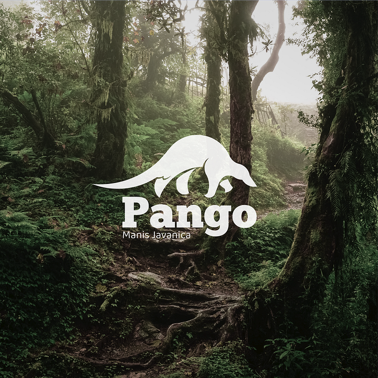 Pango Logo by hadi kurnia on Dribbble