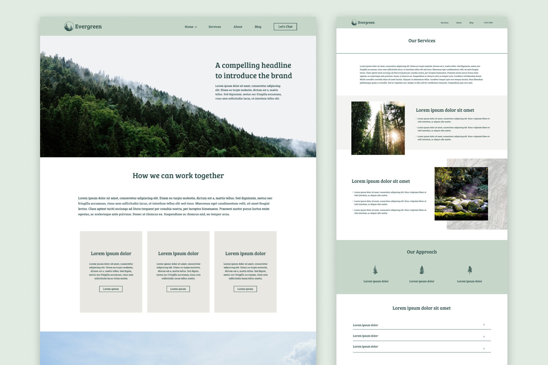 Evergreen - Website Template by Danielle Malphrus on Dribbble