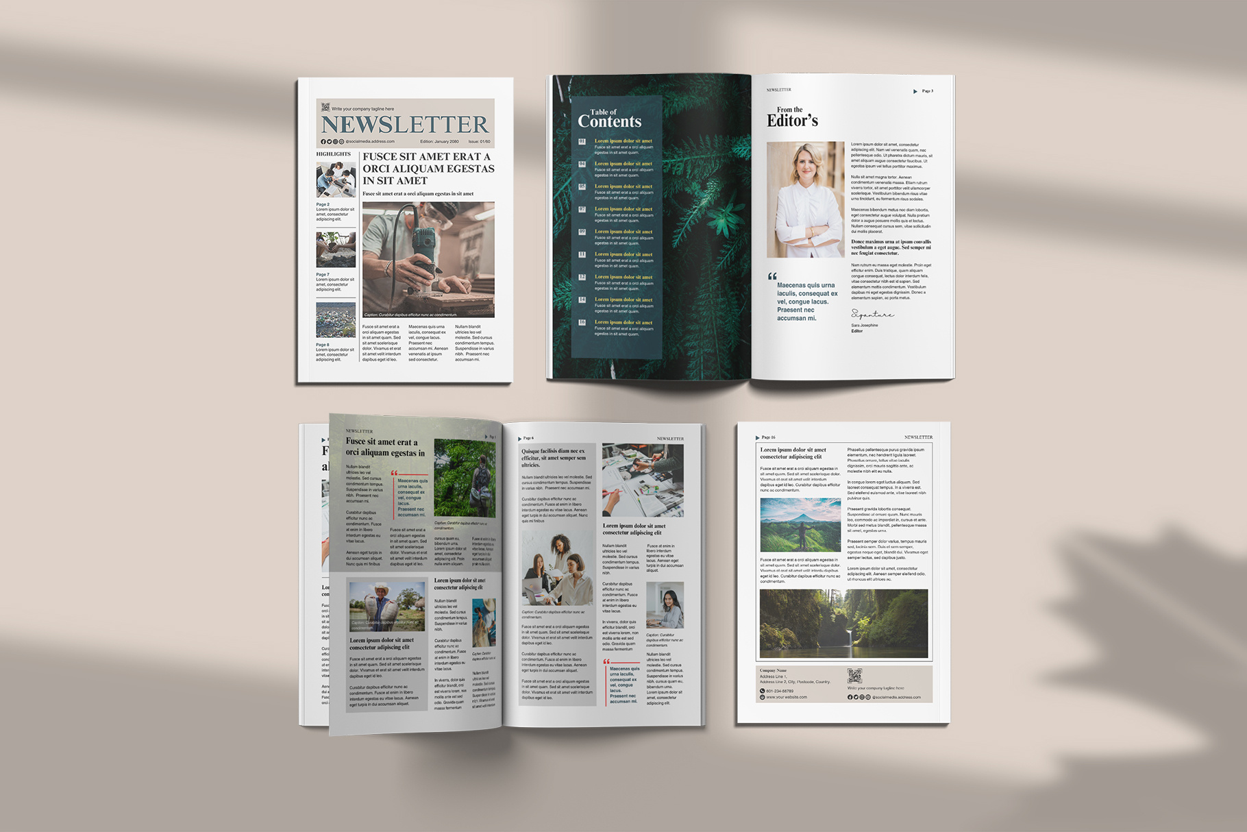 Multipurpose Newsletter Template by Oshin on Dribbble