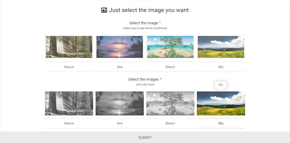 Thumbnail Selector with Conditional Logic by Md Riaz Rahaman on Dribbble