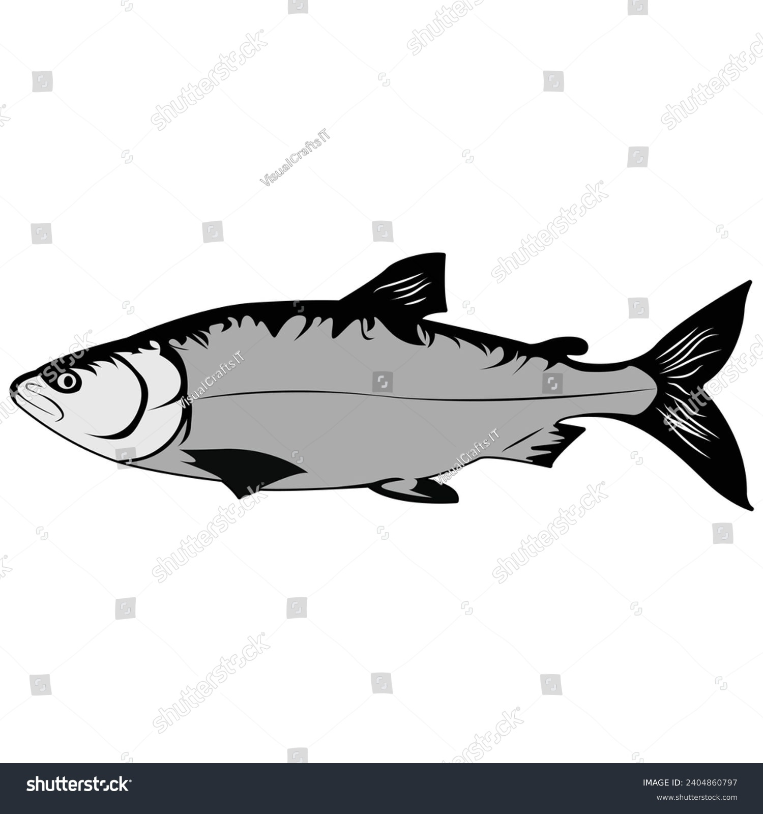 Fish isolated on white background vector realistic illustration by ...