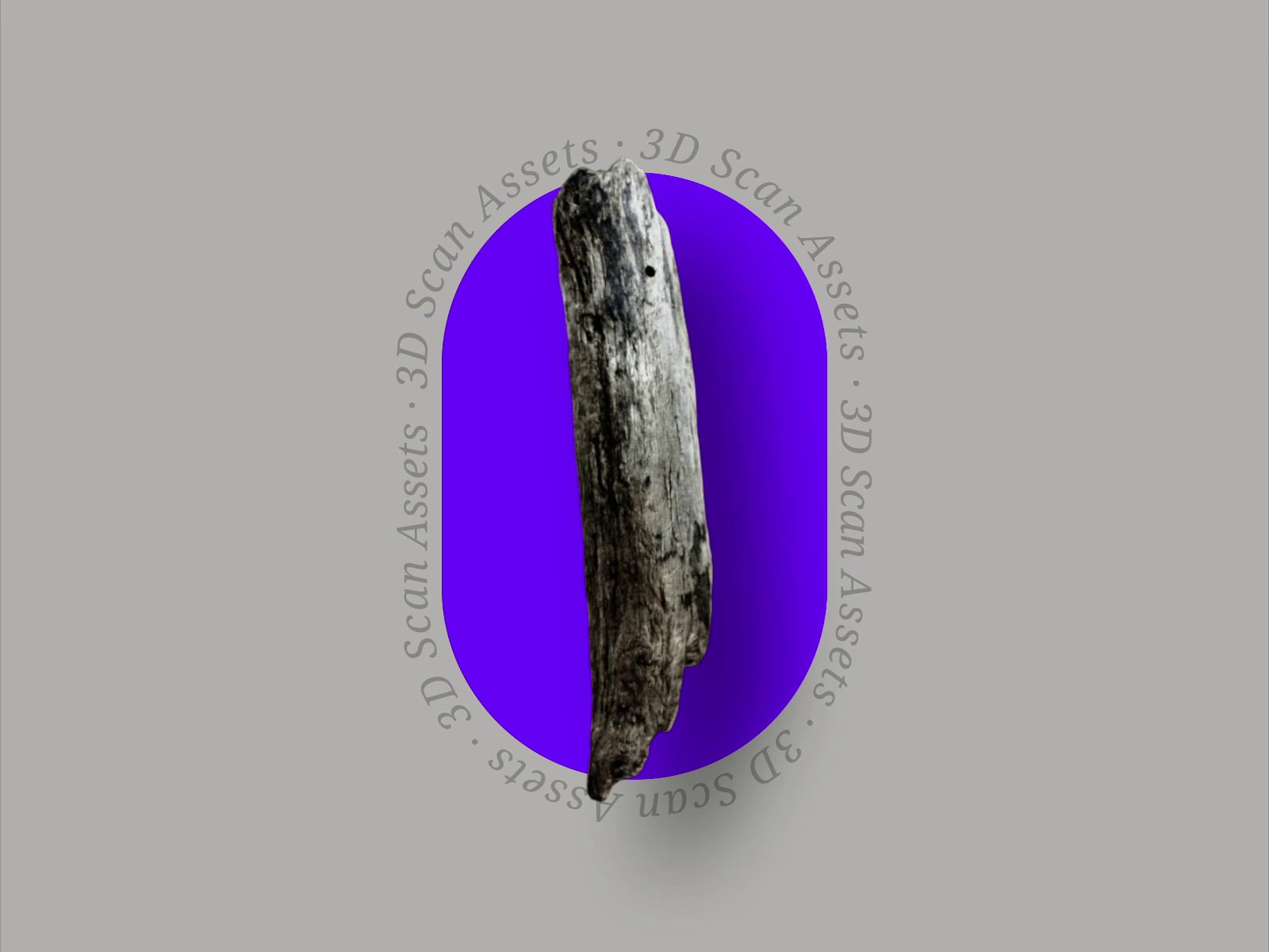 3D Scan Assets Pack by Denys Nichele on Dribbble