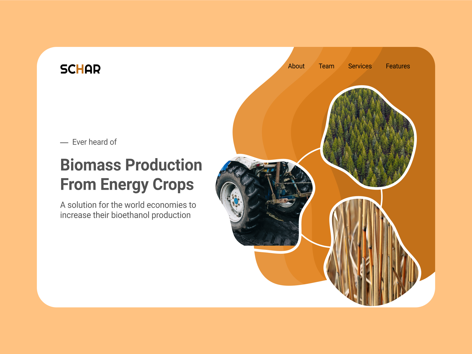 SCHAR - A smart solution to bioenergy crops by Devigners on Dribbble