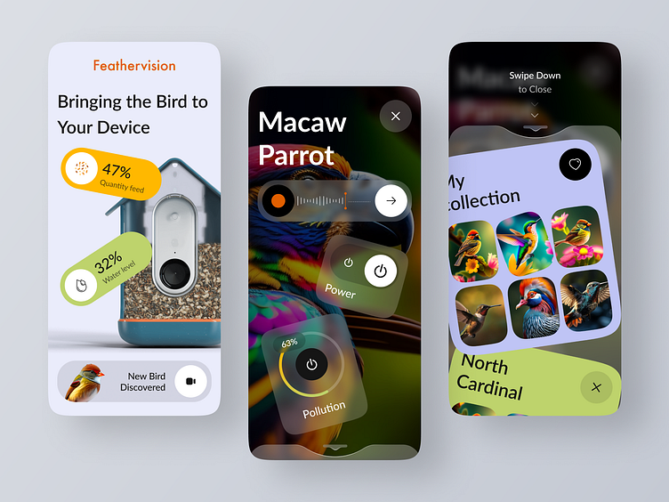 Smart Bird Feeder App | Nature | Bird food | Birds by Bhautik Domadiya ...