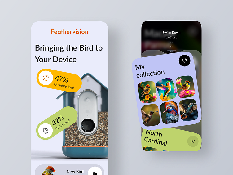 Smart Bird Feeder App | Nature | Bird food | Birds by Bhautik Domadiya ...
