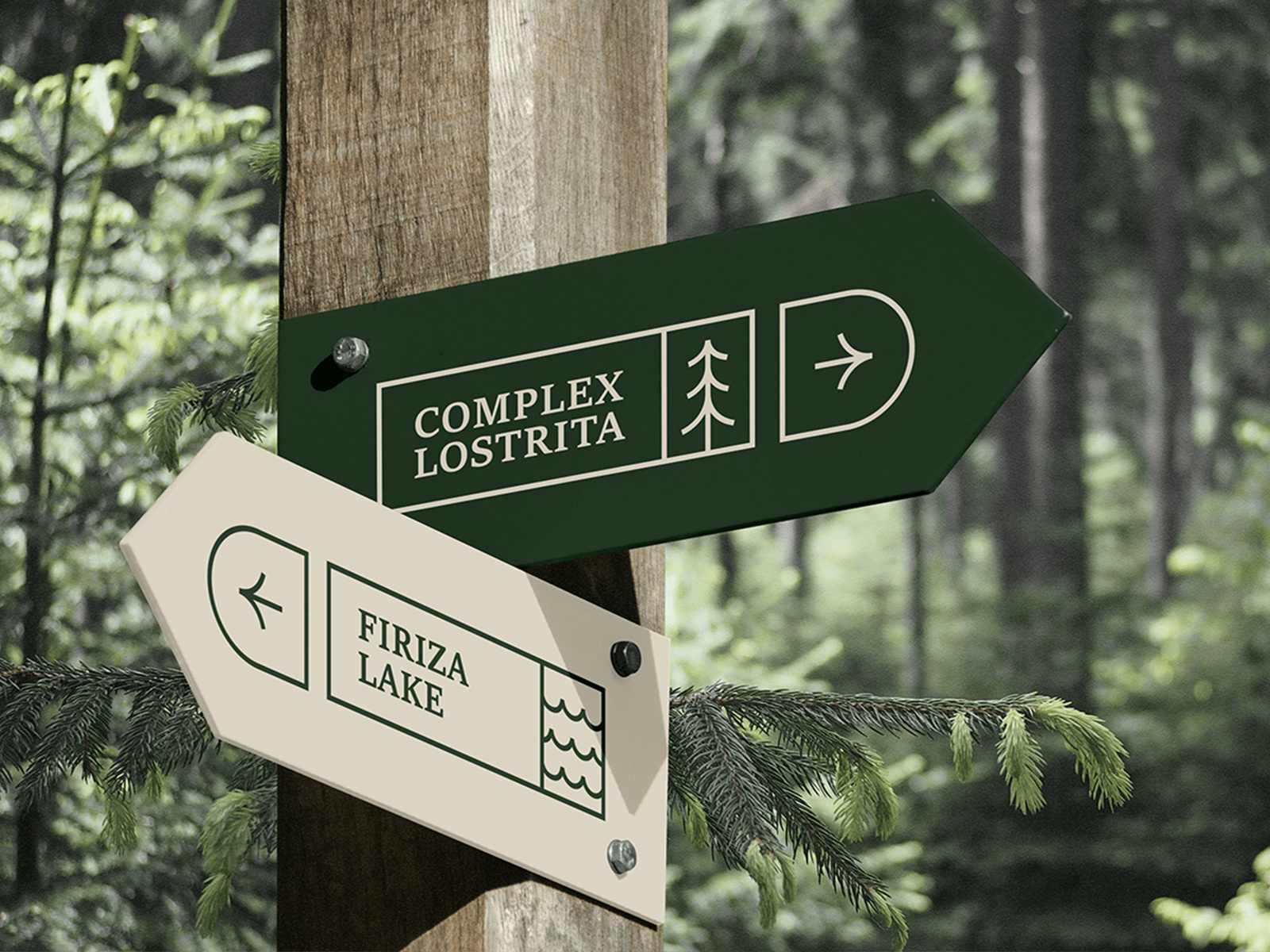 Lostrita Identity by Mr.Mockup™ on Dribbble