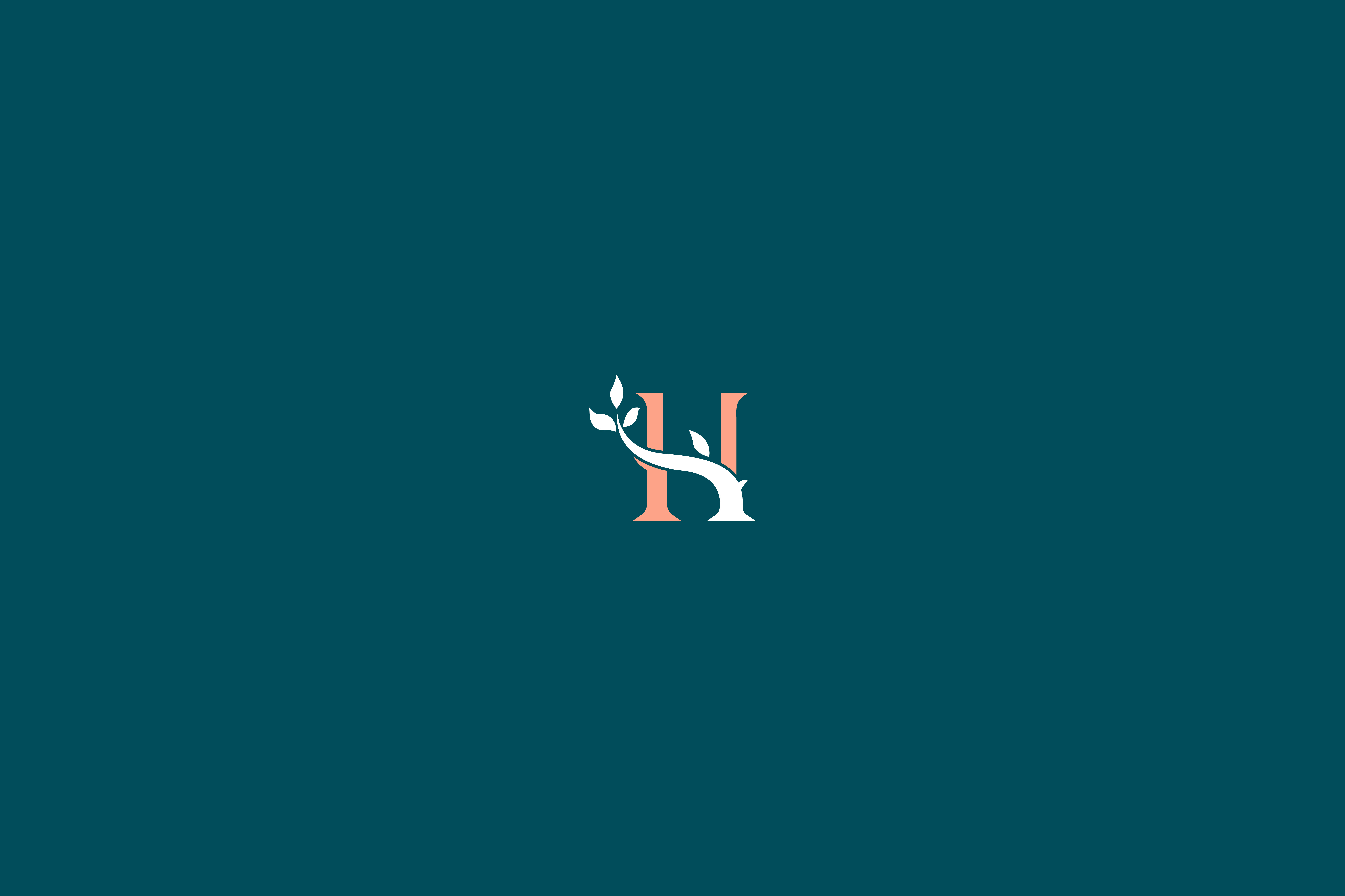 Hiraya Branding by Nasir baig on Dribbble