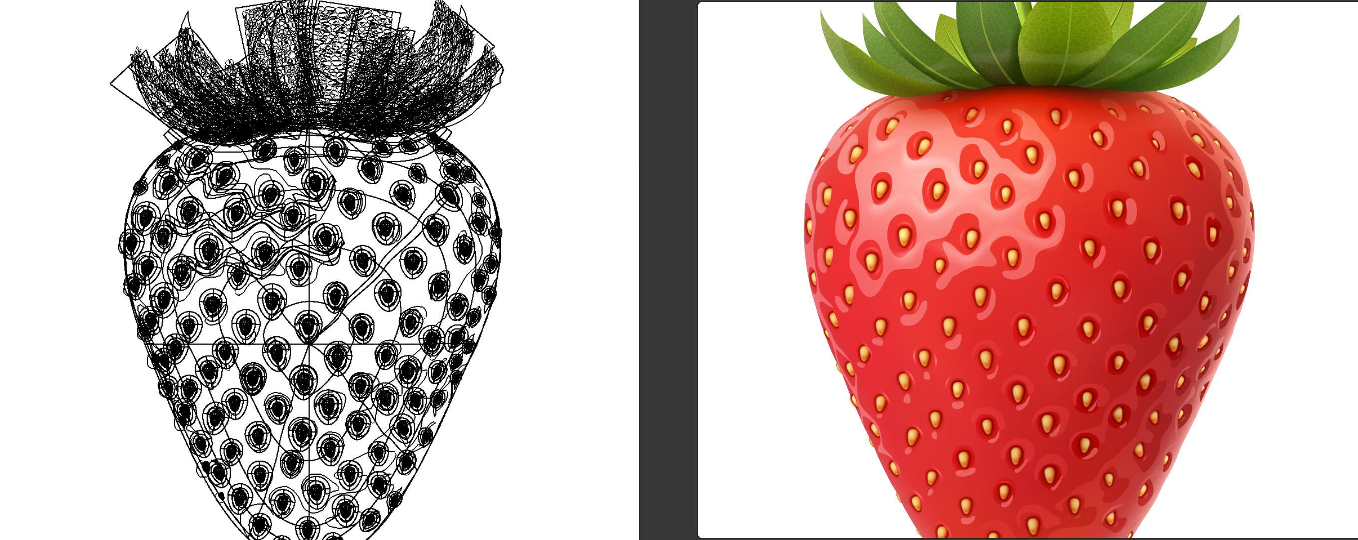 Strawberry Detailed hyper realistic vector by Vyacheslav on Dribbble