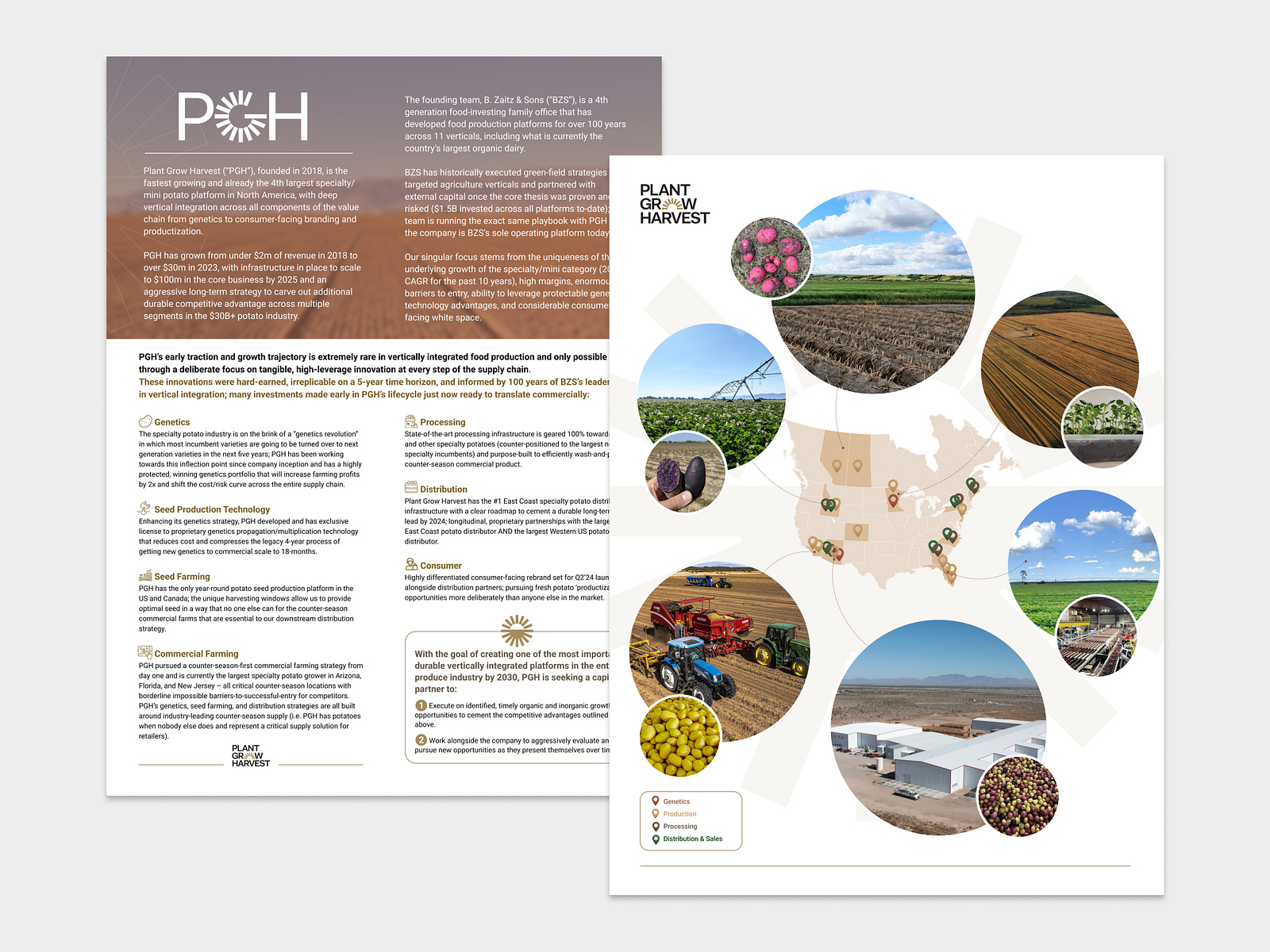 Company One pager by Nat Esteves on Dribbble