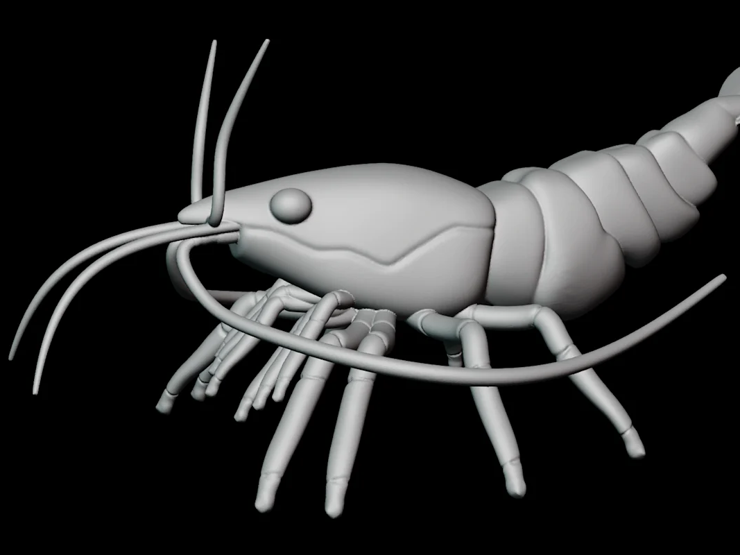 Semi Realistic Shrimp Character Modeling for 3D printing by Kamrun ...
