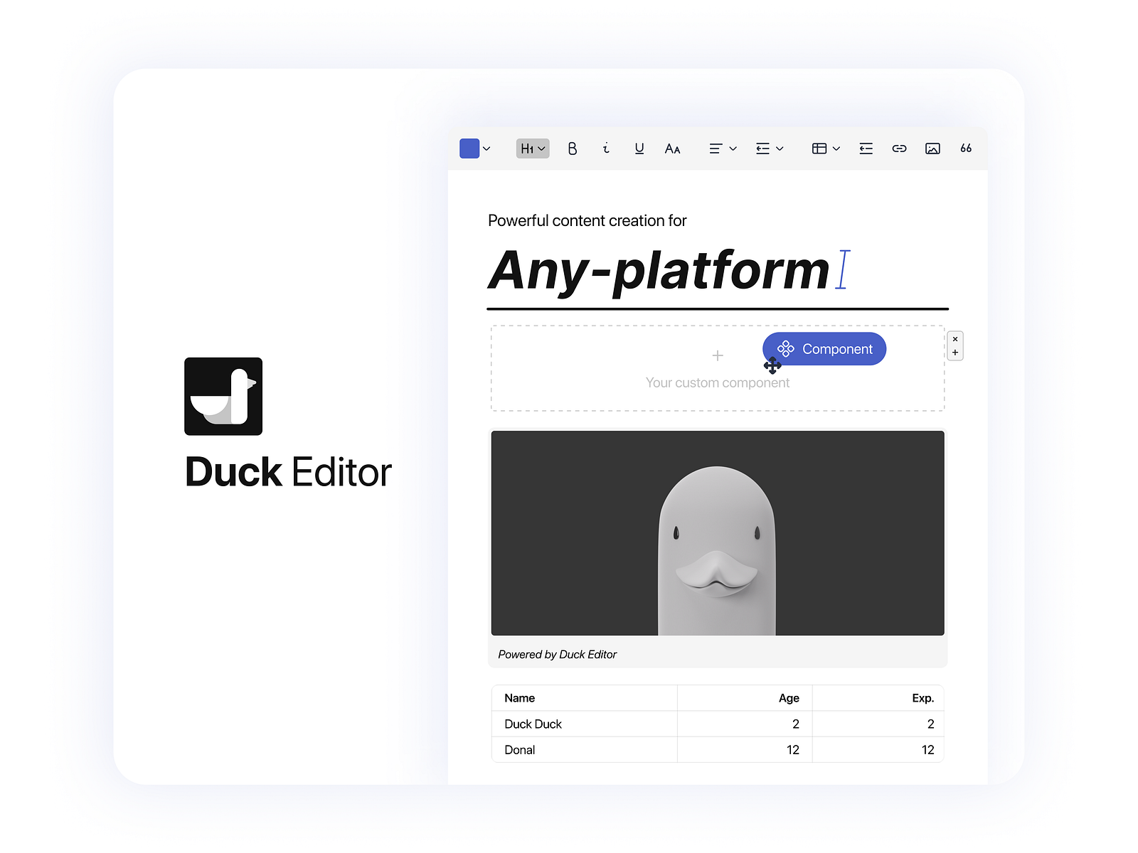 Duck Editor by Hiệp Hoàng Tuấn on Dribbble