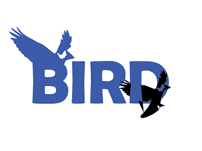 BIRD LOGO by Waleed Shah on Dribbble