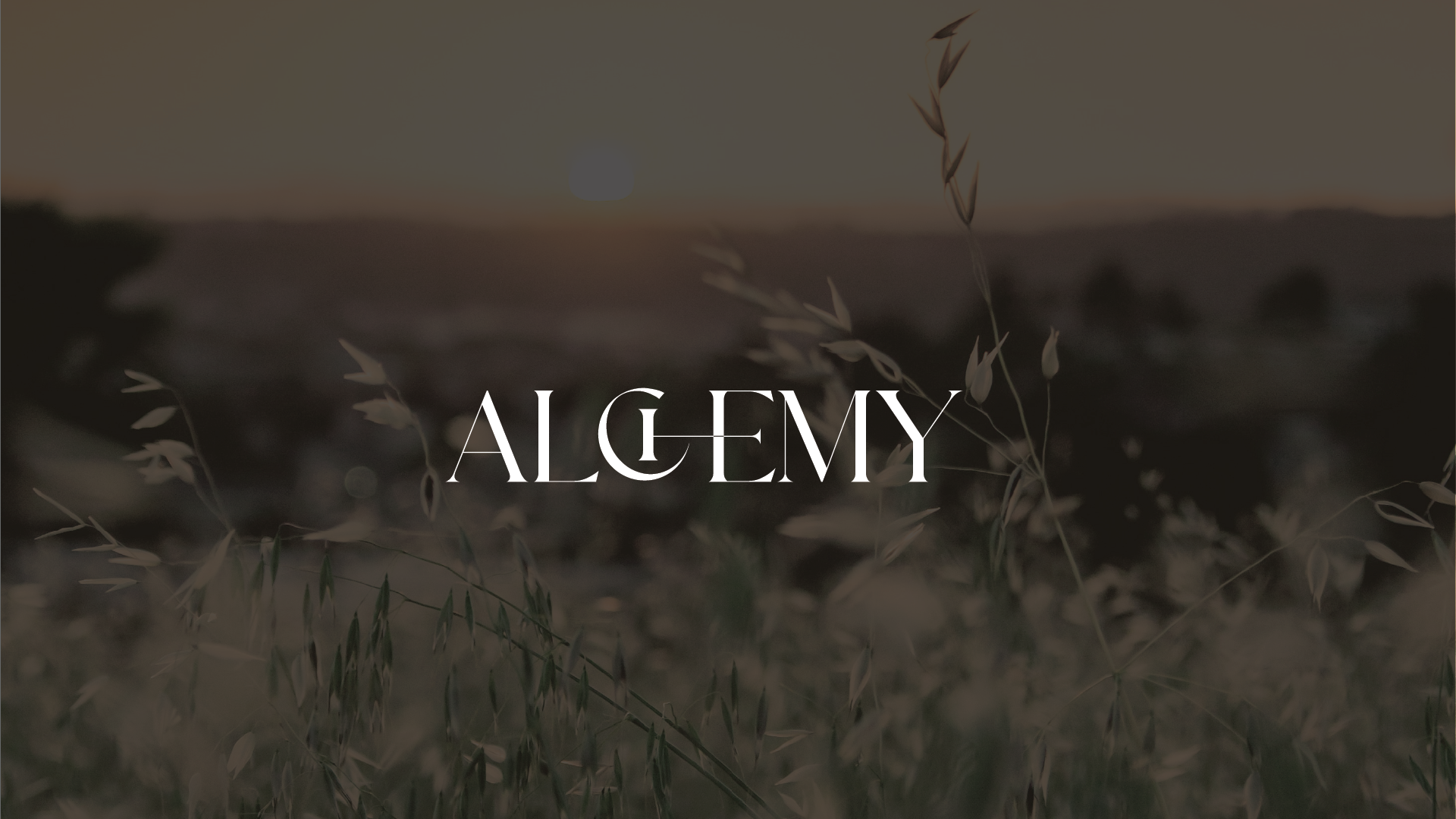 Typography Logo Design by Amna Barkat on Dribbble