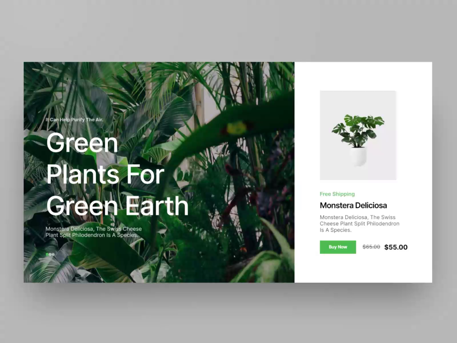 Plants Shop Slider Template by depicter on Dribbble