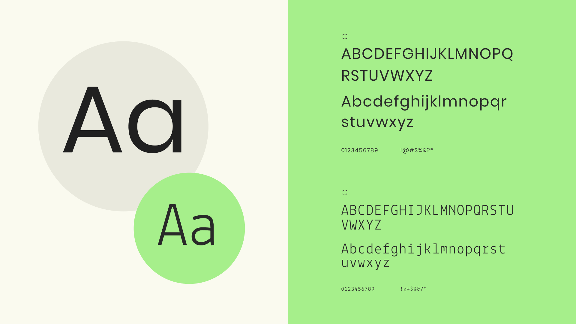 TARS Visual Identity by Rafaela Abreu on Dribbble