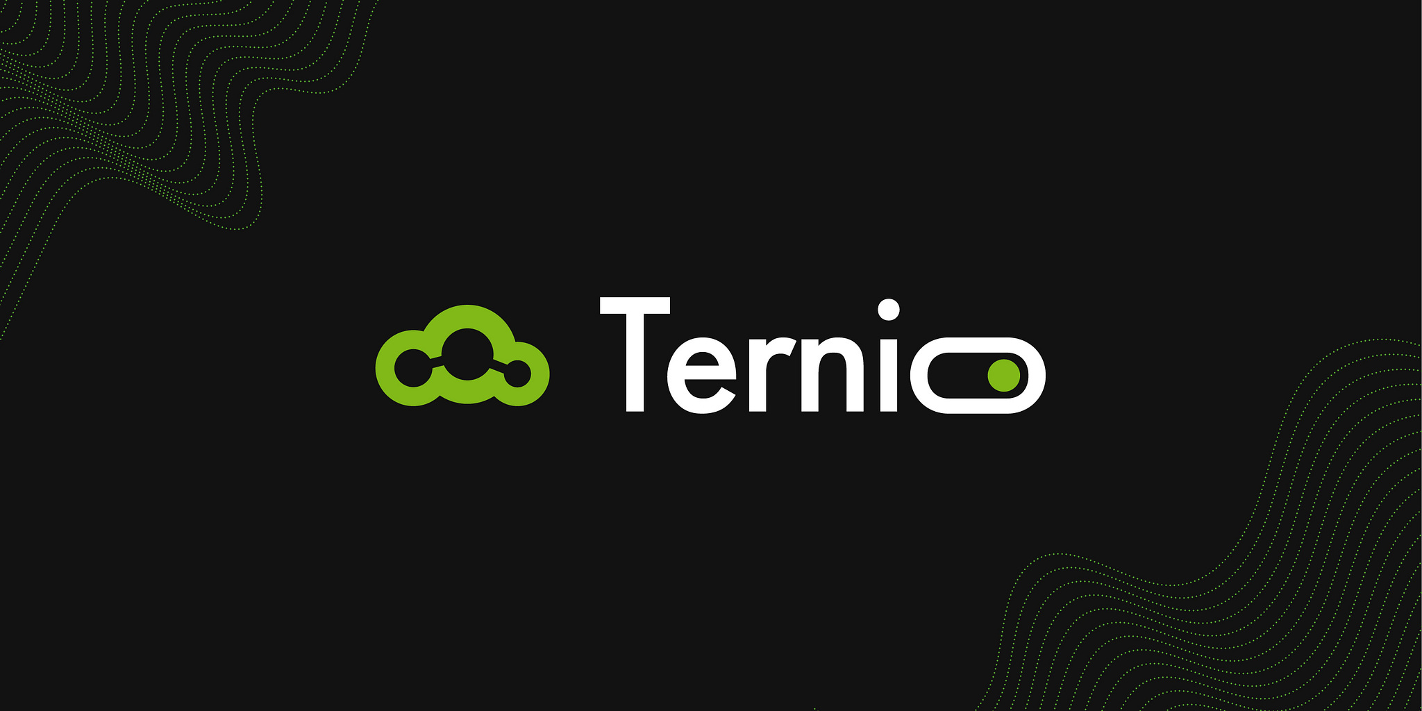 Ternio Primary Logo by TwentyThree.Five | Coleman Milligan on Dribbble