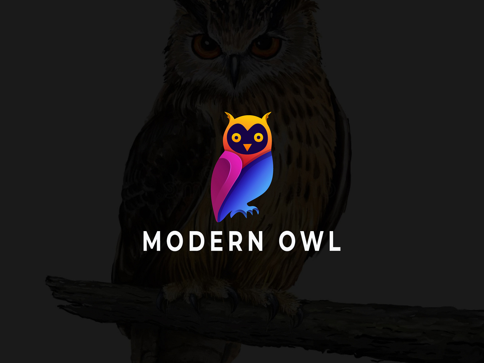 MDERN OWL LOGO DESIGN CONCEPT by khokan24 on Dribbble