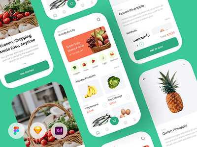 Ecommerce Modern App designs, themes, templates and downloadable ...