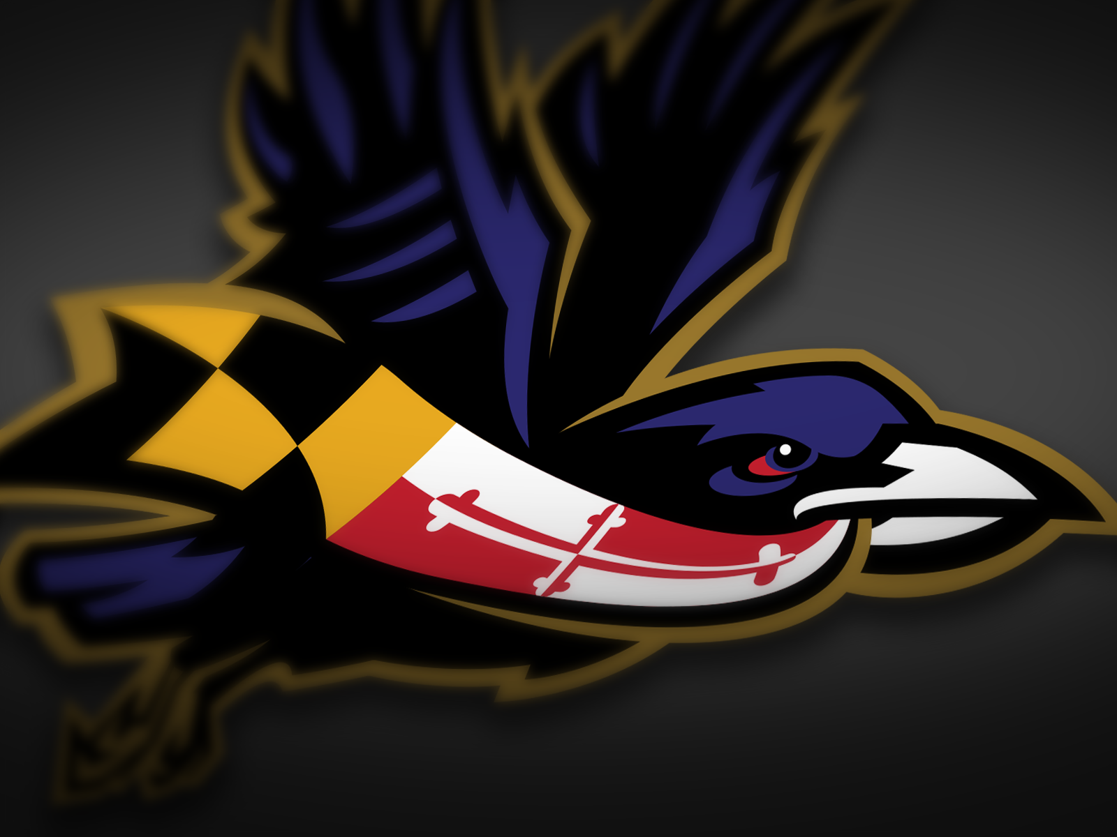 Sean's NFL - Ravens Concept Logo by Sean McCarthy on Dribbble