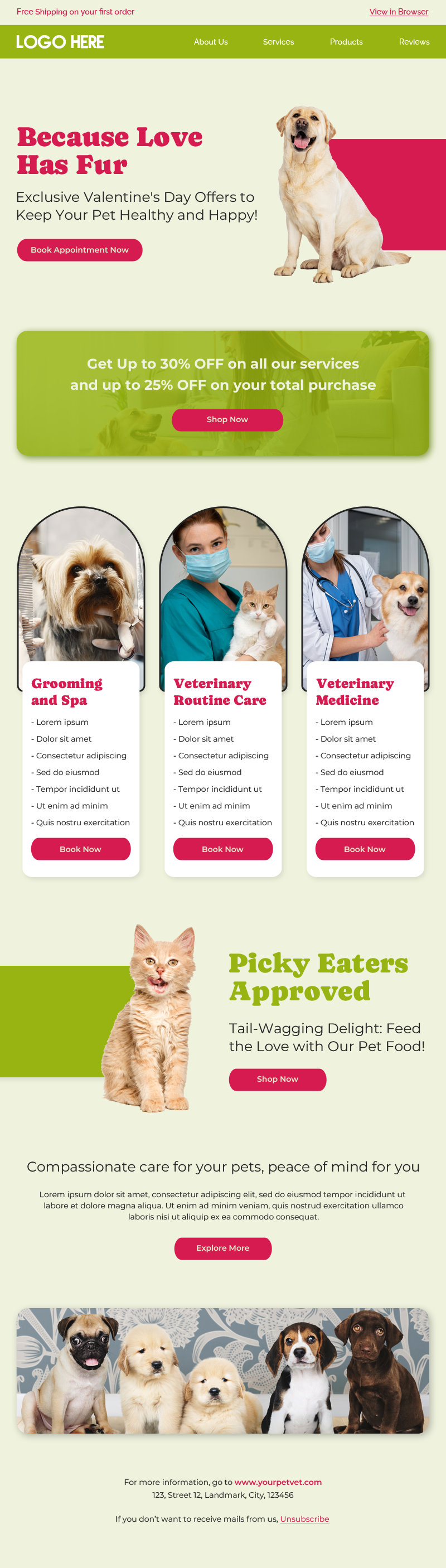 Veterinary Clinic Email Newsletter by Zeiore Studio on Dribbble