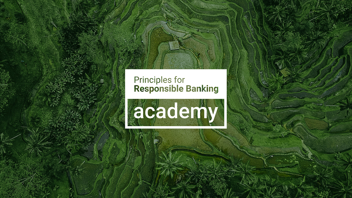 PRB Logo by Adam Schofield on Dribbble