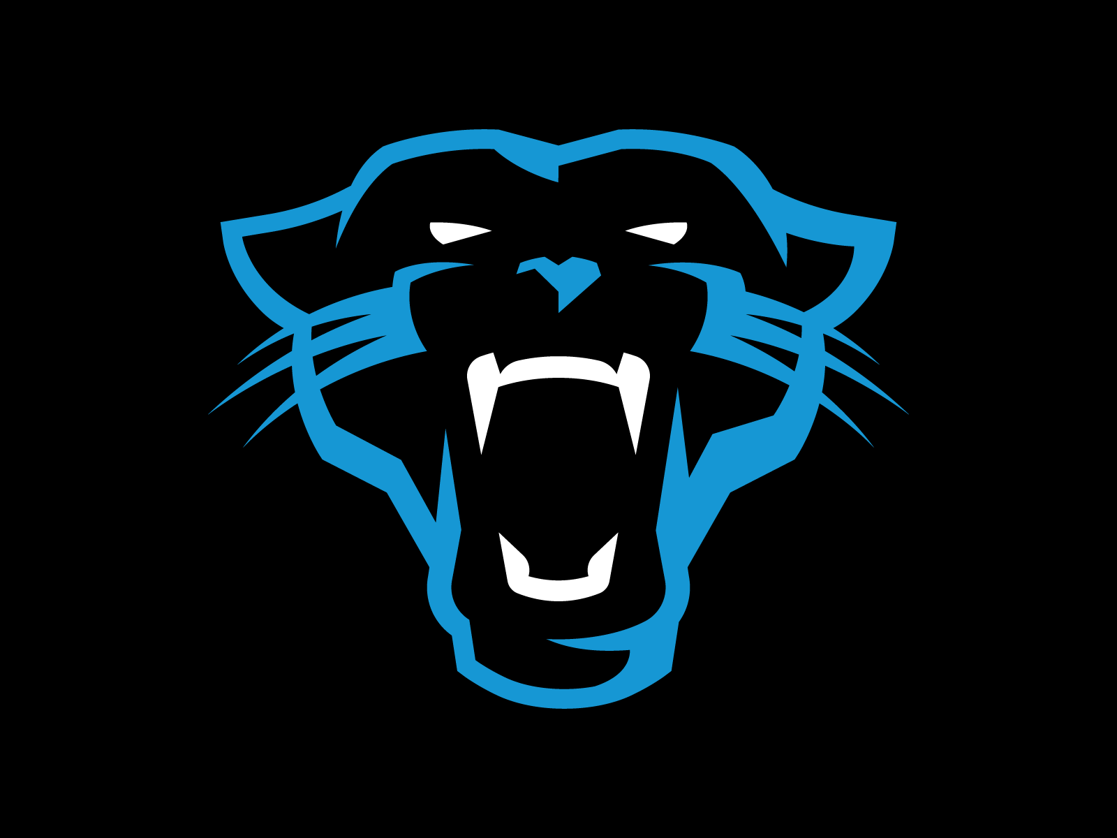 Sean's NFL - Carolina Panthers Concept Logo by Sean McCarthy on Dribbble