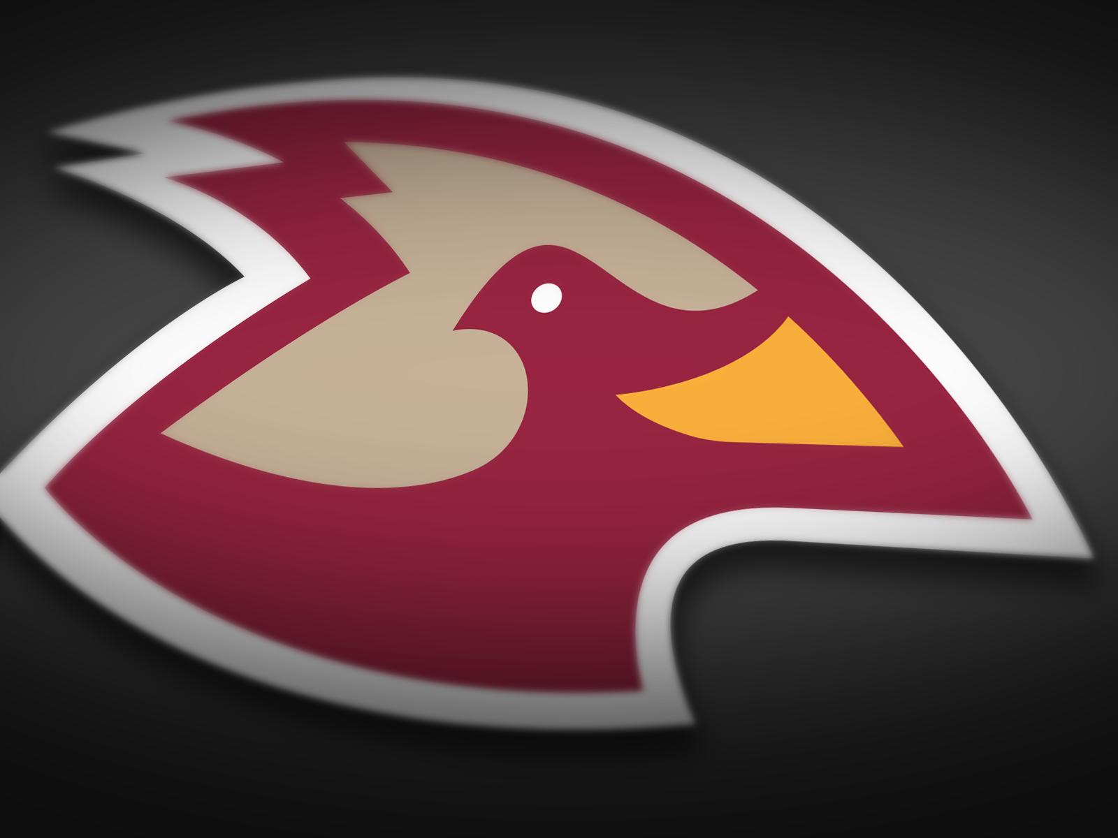 Sean's NFL - Arizona Cardinals Concept Logo by Sean McCarthy on Dribbble