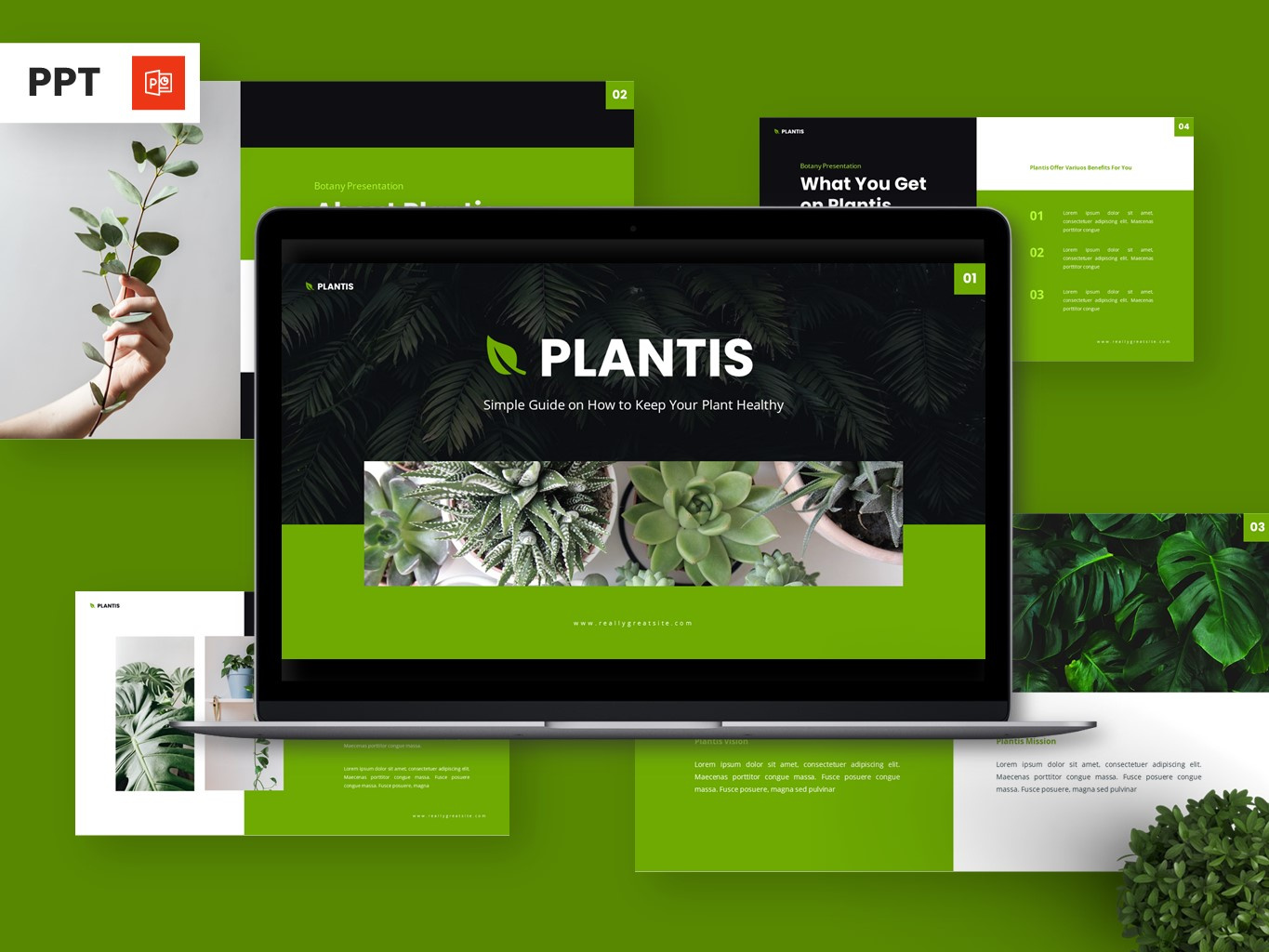 Plantis - Botany Powerpoint Templates by Deepslide Studio on Dribbble