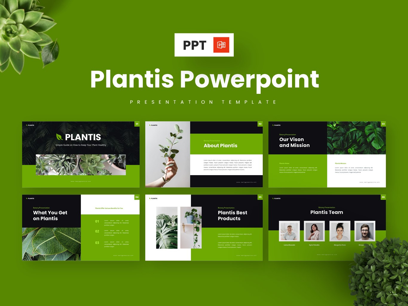 Plantis - Botany Powerpoint Templates by Deepslide Studio on Dribbble