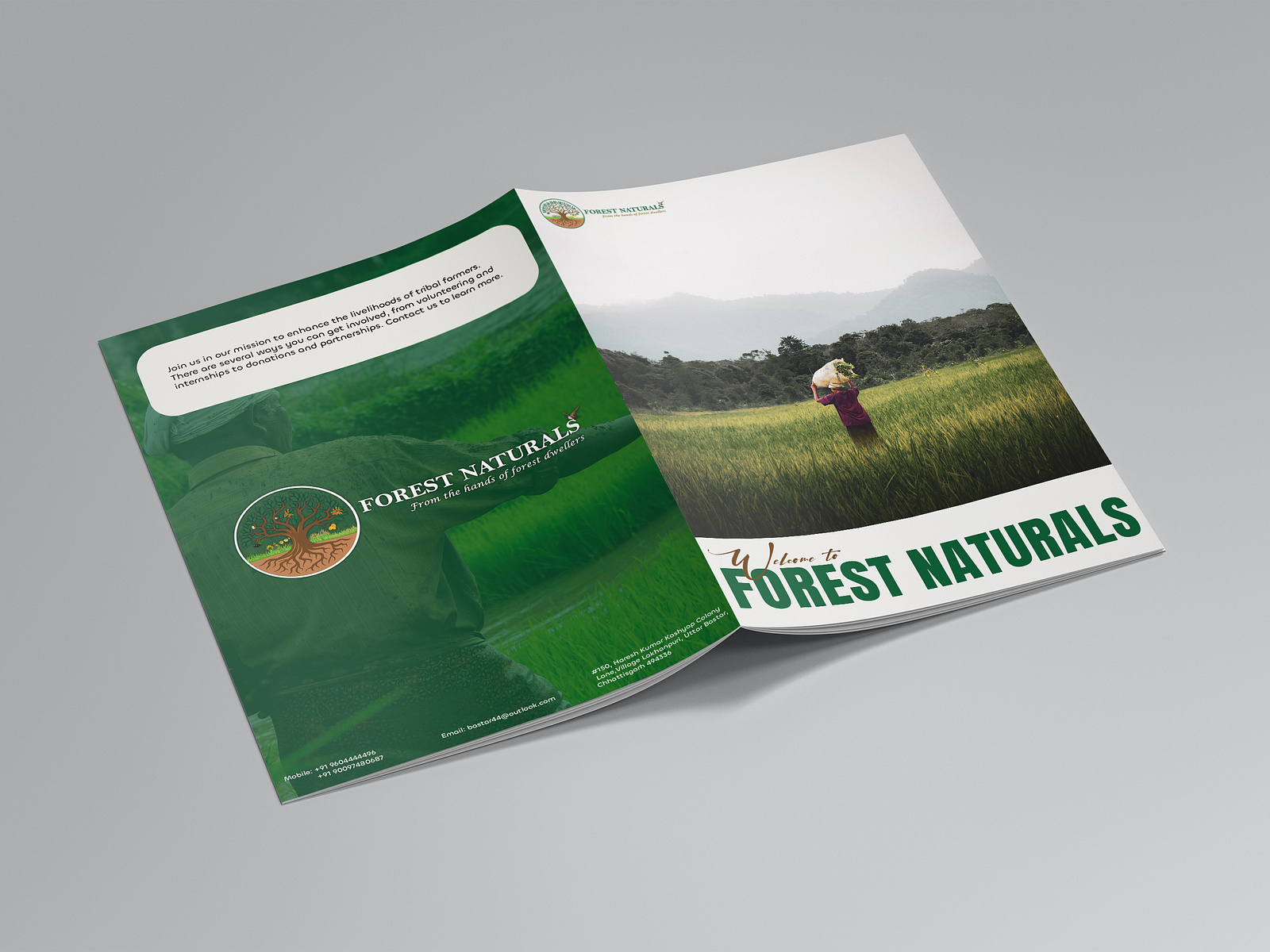 Forest Naturals - Brochure Design by AVW Storytellers on Dribbble
